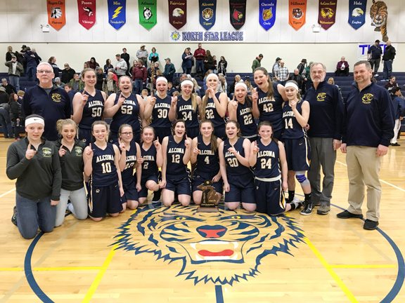 Tigers defeat Oscoda in rubber match for district championship | News ...